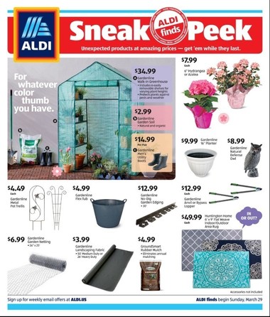 ALDI - Store Locator & Hours