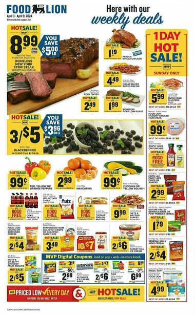 Food Lion Weekly Ad